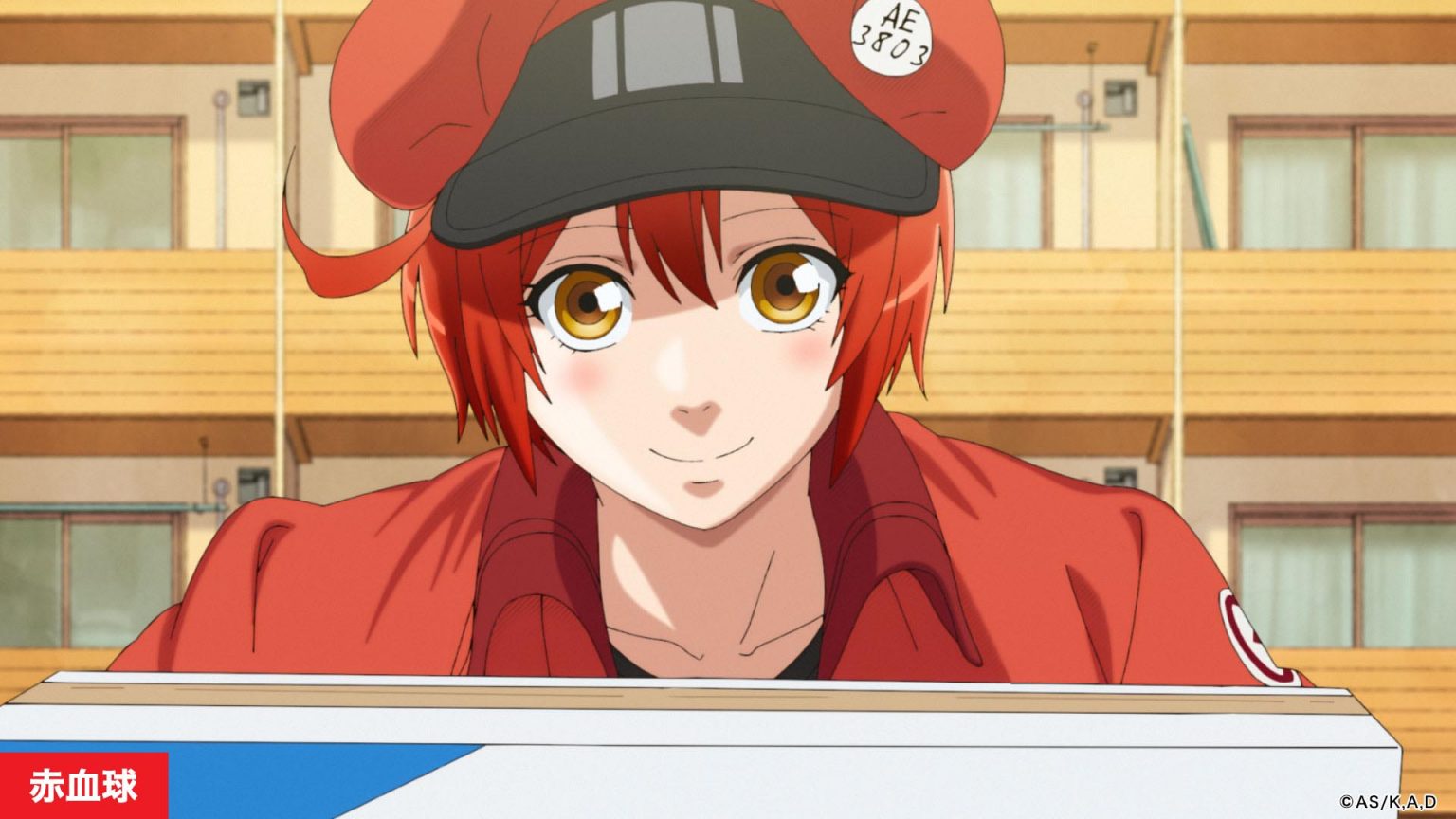 Cells at Work Site Offers Free Screenshots for Medical Professionals