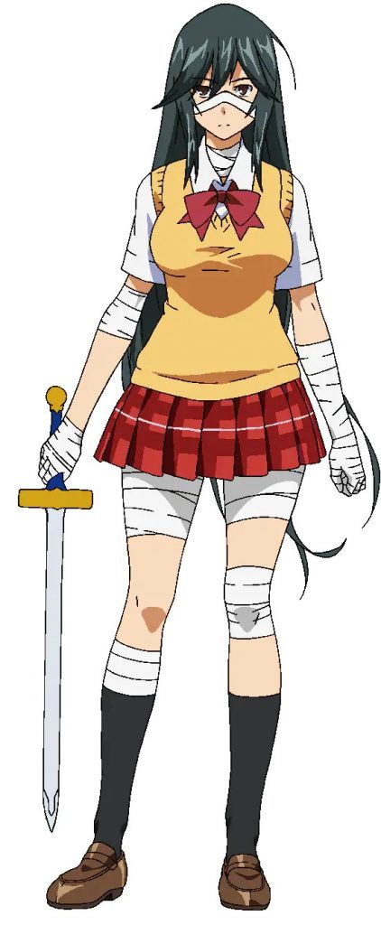 More Ecchi Battle Vixens Spotlighted in Shin Ikki Tousen Update